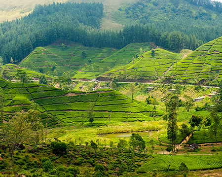 Maldivian company invests $3 million in new hotel in Matale, Sri Lanka